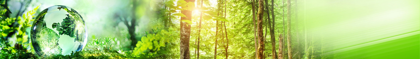 crystal globe on moss in a forest - environment concept - Axon Underwriting